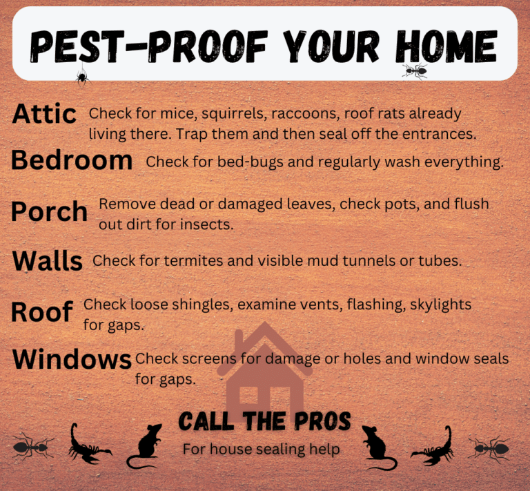 House Sealing Your Secret Weapon Against Pests in Tucson